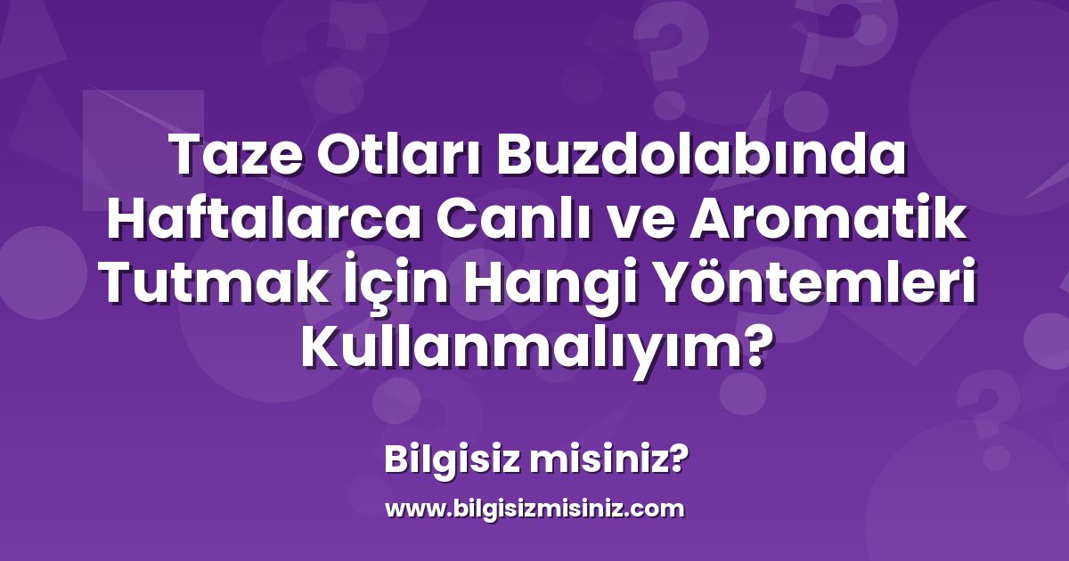 Taze Otları Buzdolabında Haftalarca Canlı ve Aromatik Tutmak İçin Hangi ...